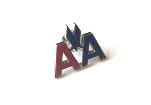 [American Airlines AA Lapel Pin] | Flight Attendant Shop